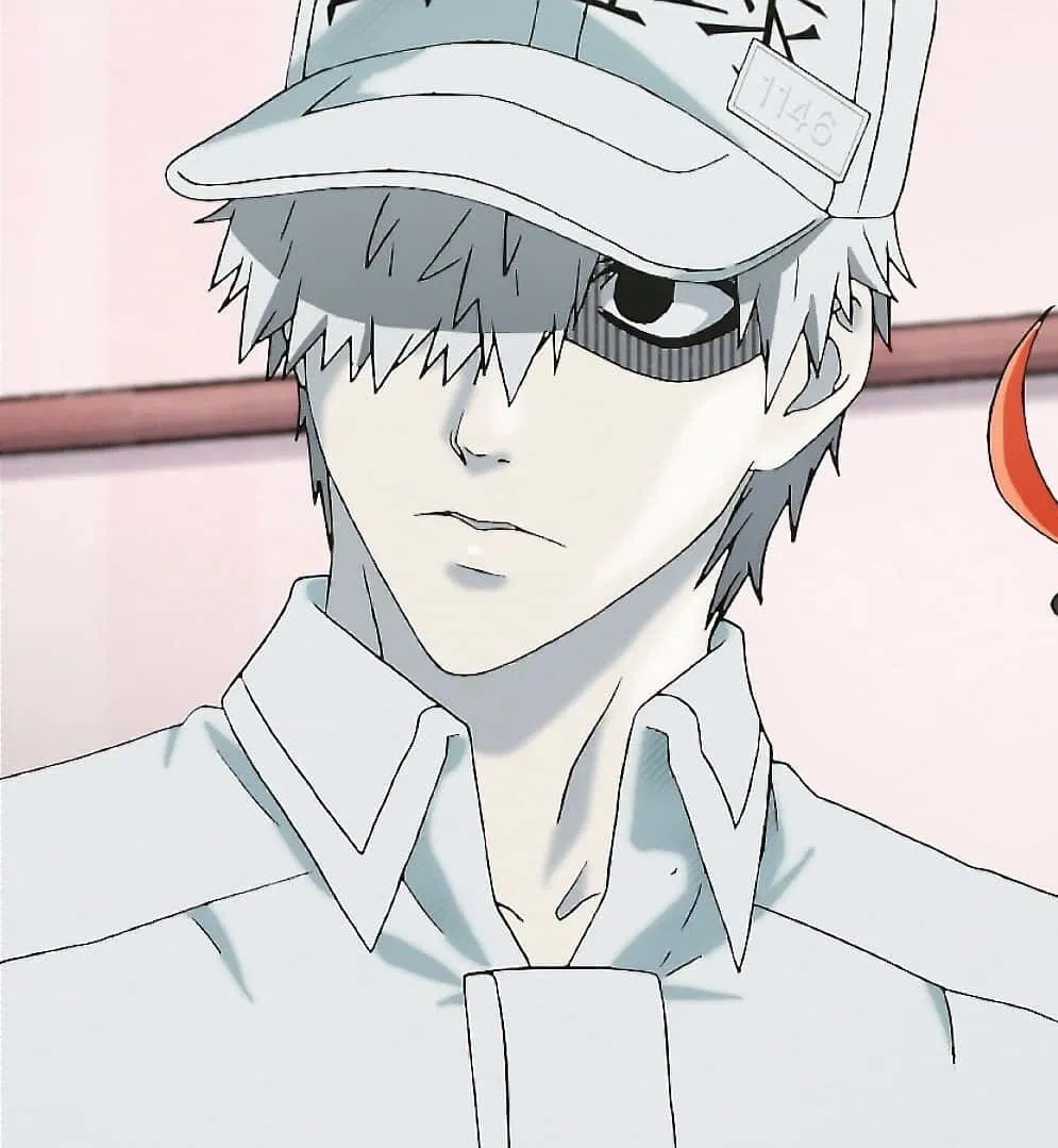 Neutrophil U-1146 (White Blood Cell)