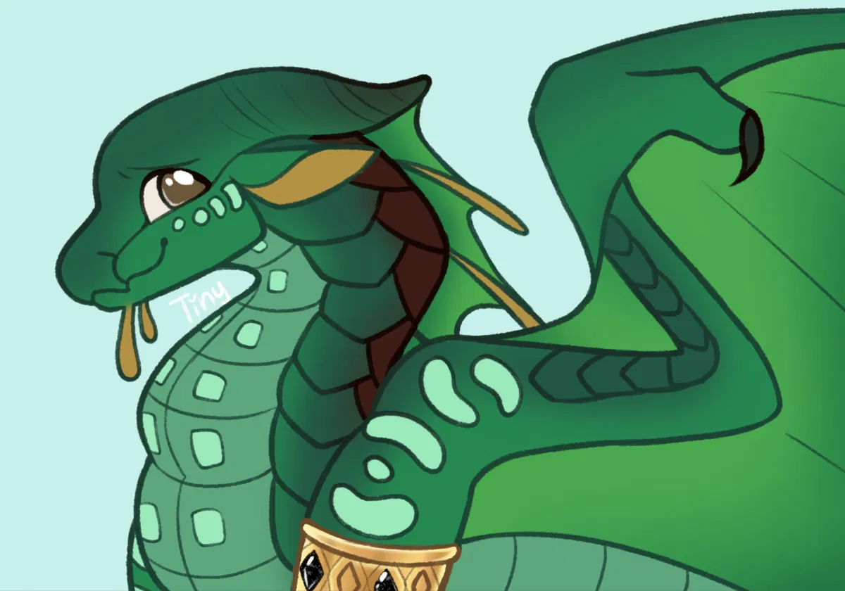 Turtle - WoF