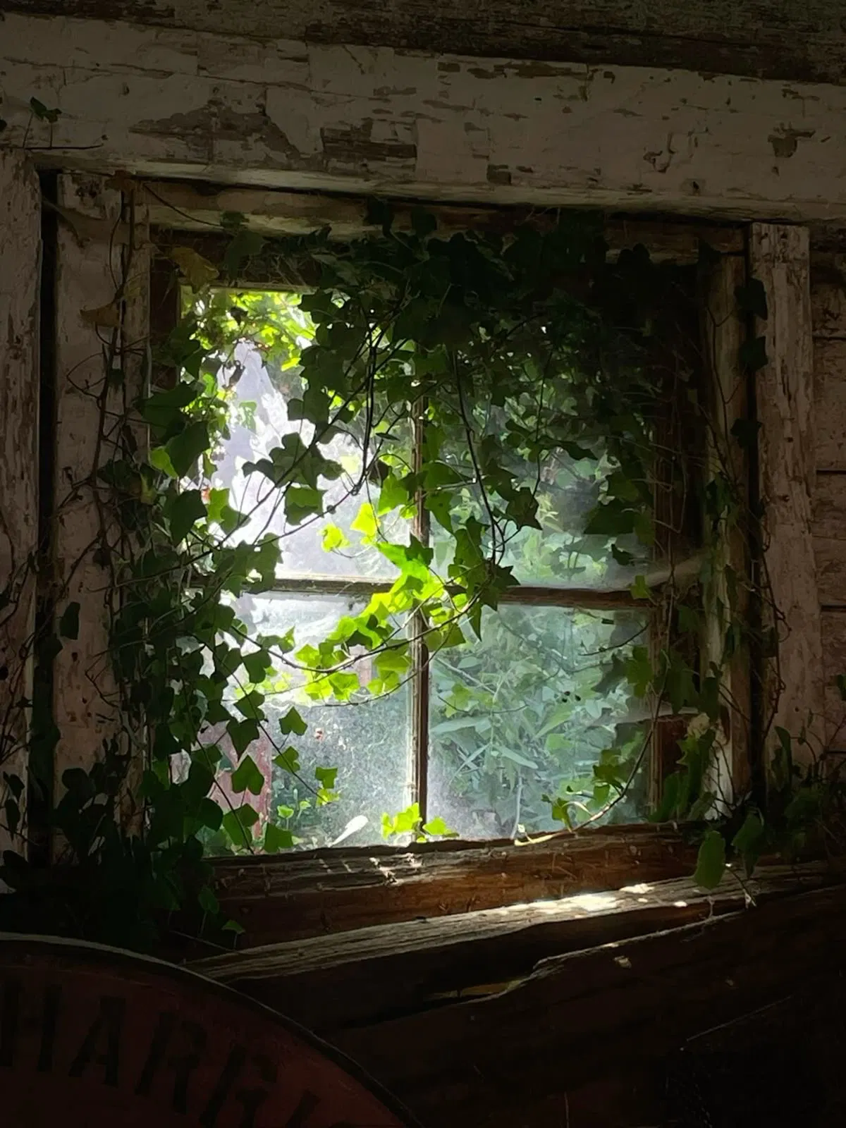 Zombie apocalypse — A new world of hurt