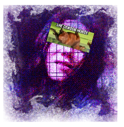 OCCULTUS ⋆ 𝐌𝐀𝐘𝐇𝐄𝐌 ⋆ ♱