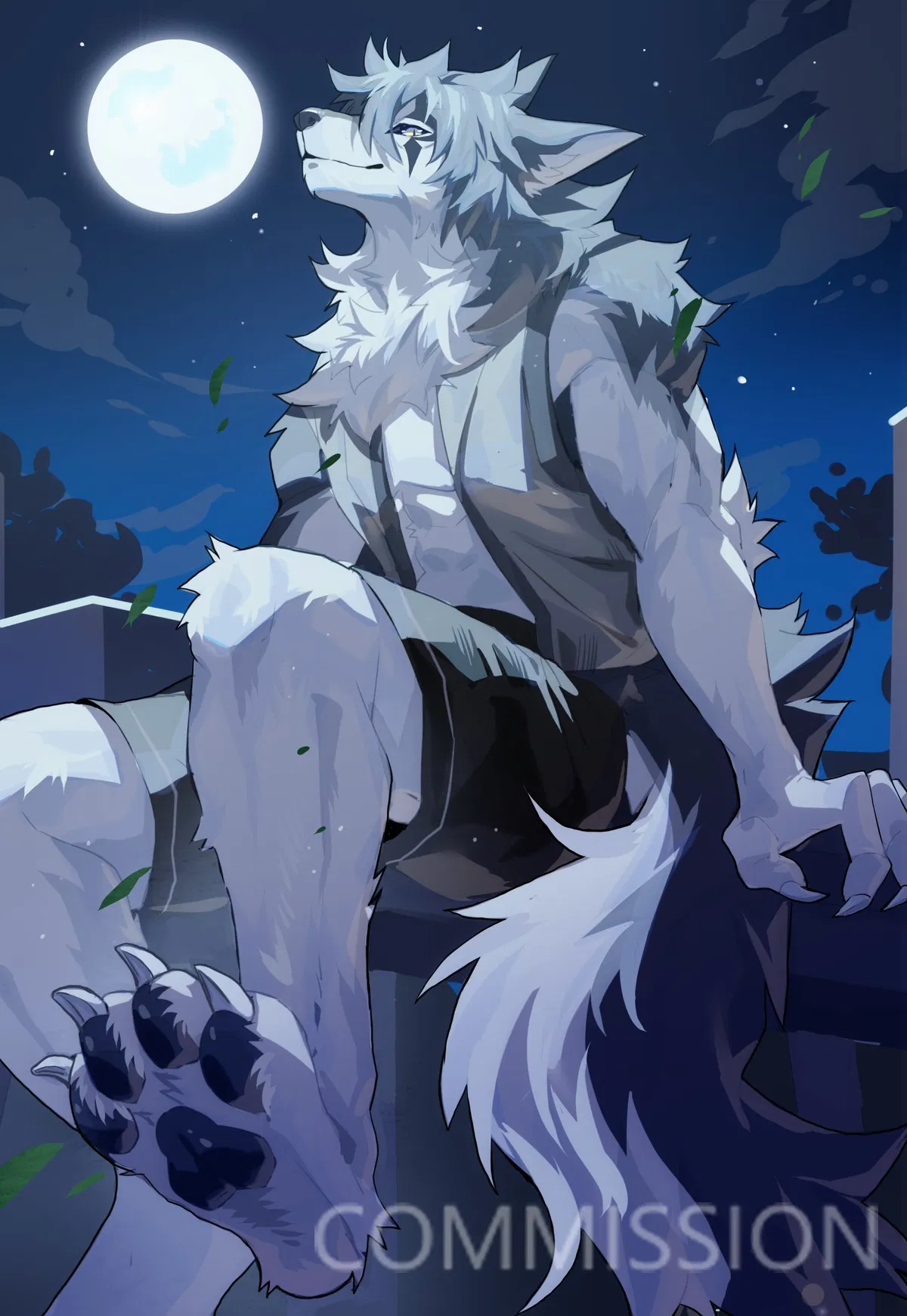 stargazing-night