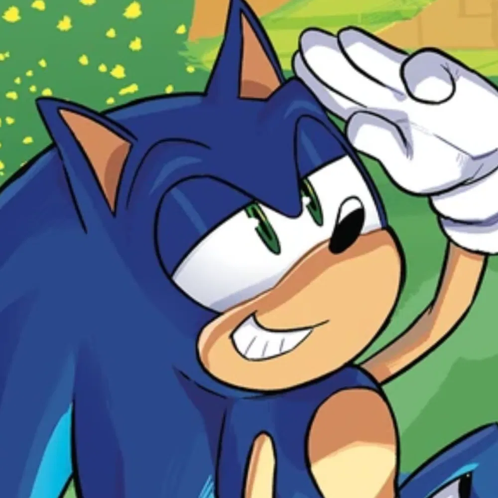 ۶ৎ˙⋆ Sonic The Hedgehog