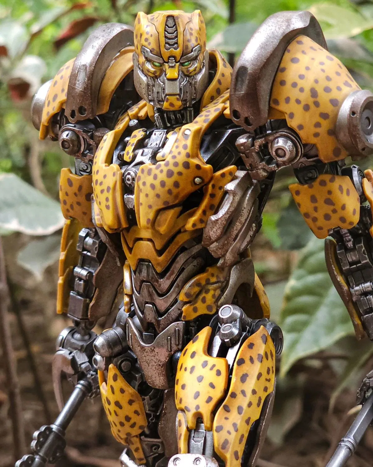 Cheetor -ROTB-