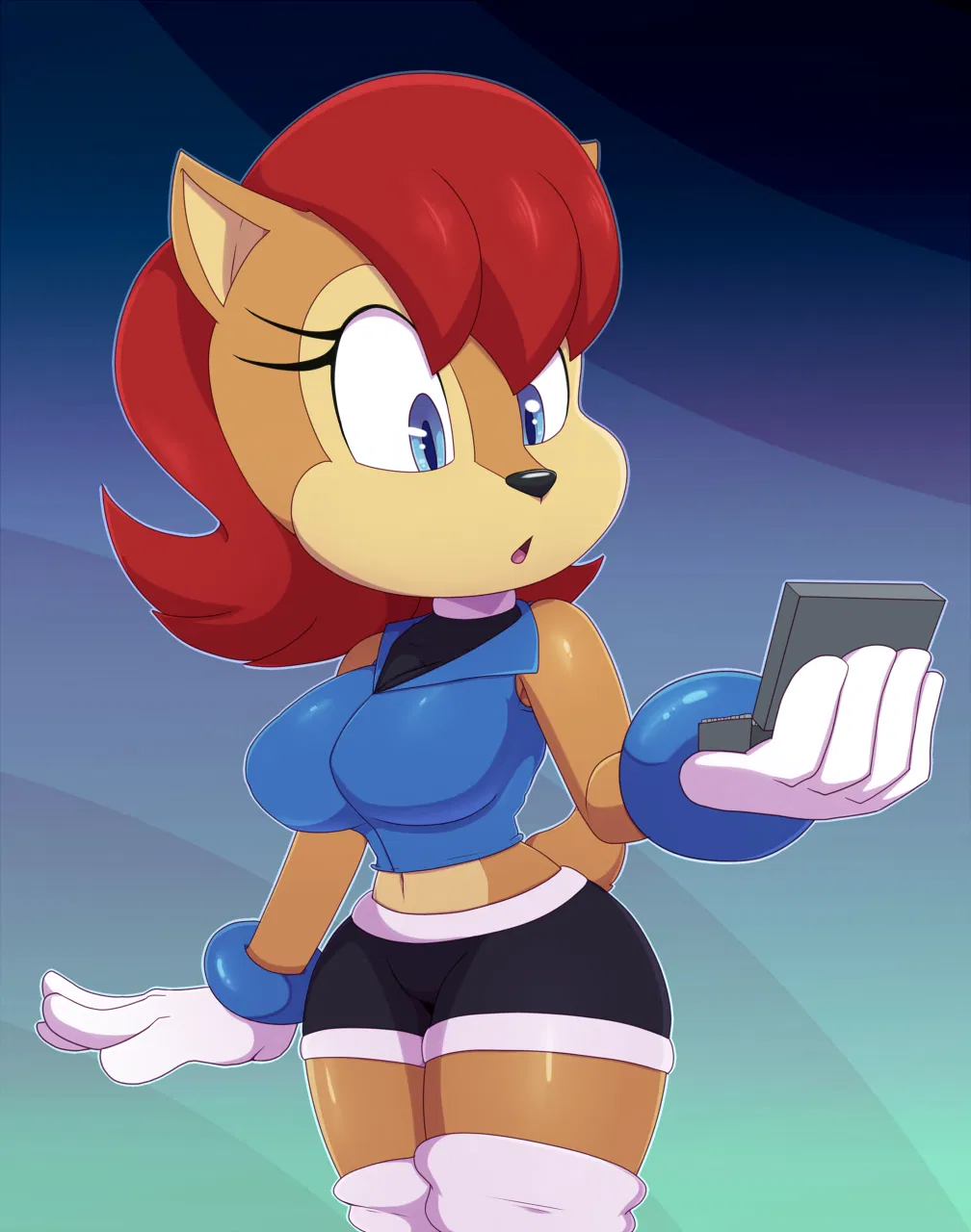 Sally Acorn || Freedom Fighters princess of the previous kingdom