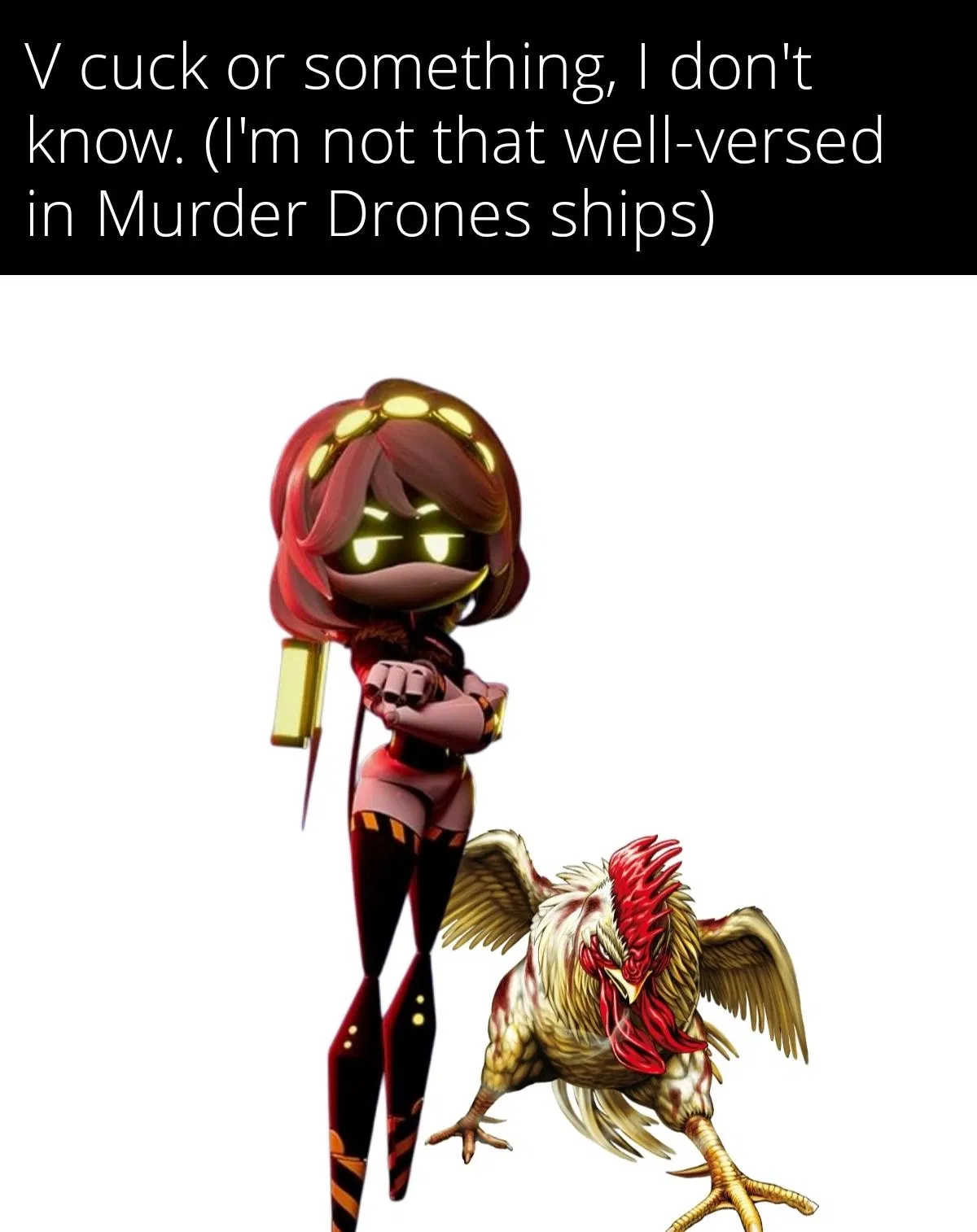 Serial Designation V