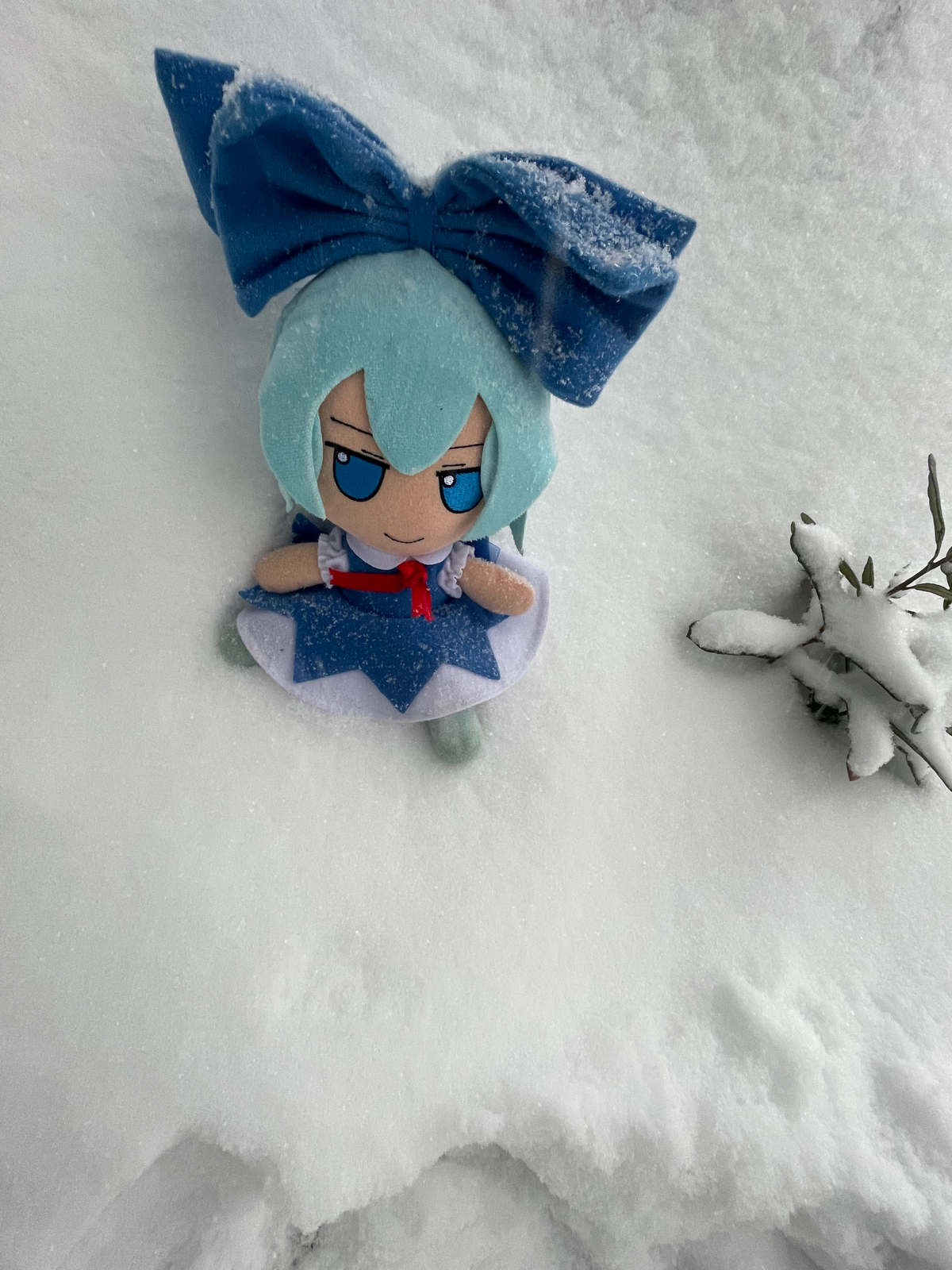 What type of bots should I make.