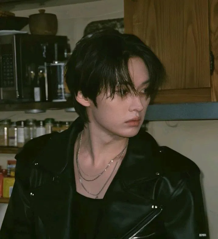 Lee Know/brother's best friend