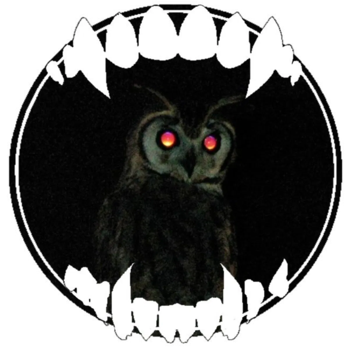 VERSIÓN EN ESPAÑOL | Ryker Zaharie