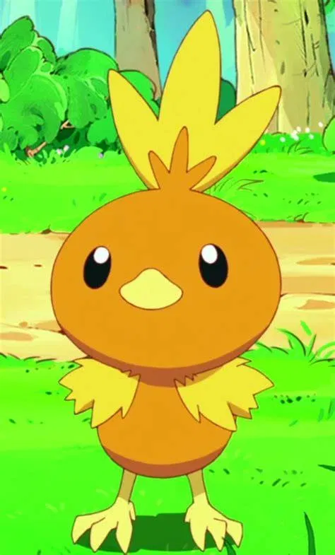 Torchic