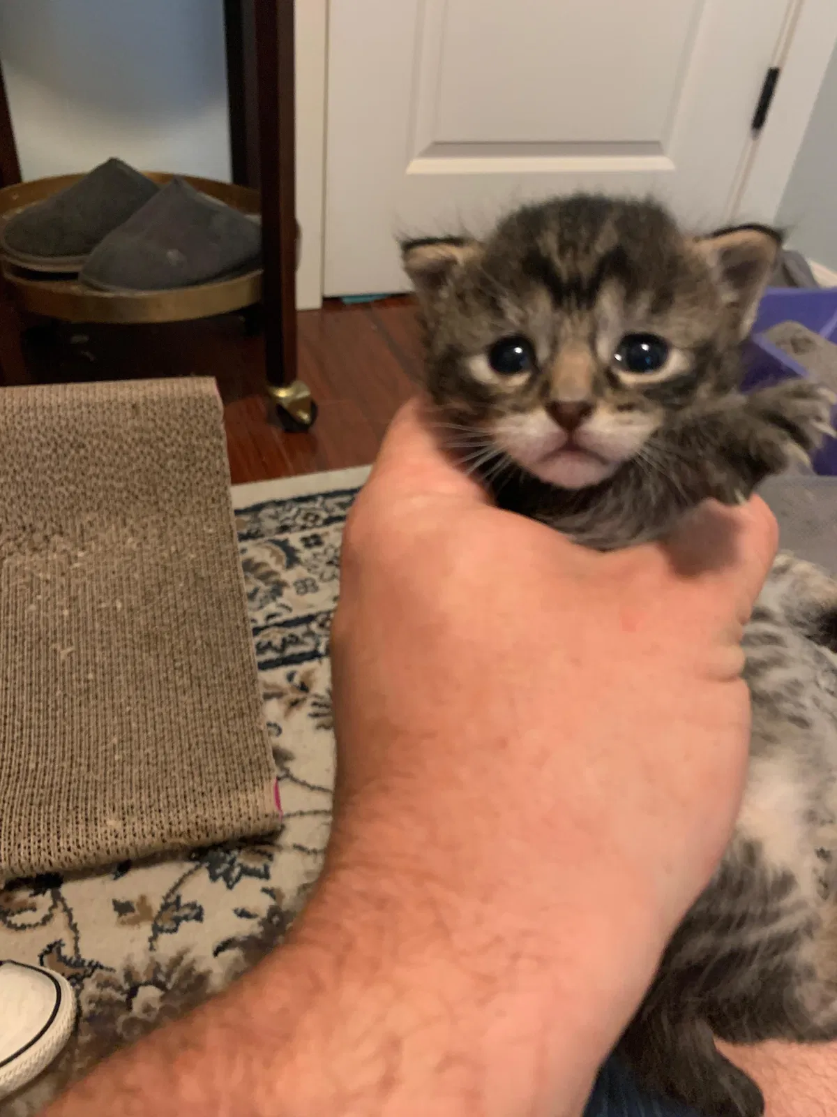 500 special request bot [OPEN]