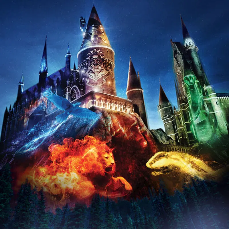 Hogwarts: The University of Witchcraft and Wizardry
