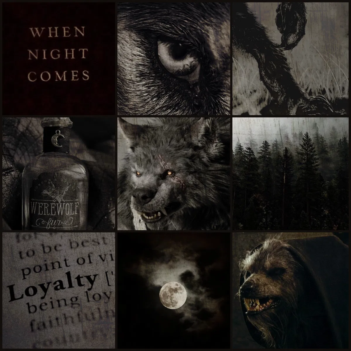 The Tragic Werewolf•☾