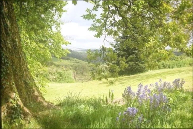 The Sun Hill farm experience [Owner Chance]