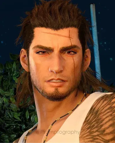 FFXV || Gladiolus Amicitia