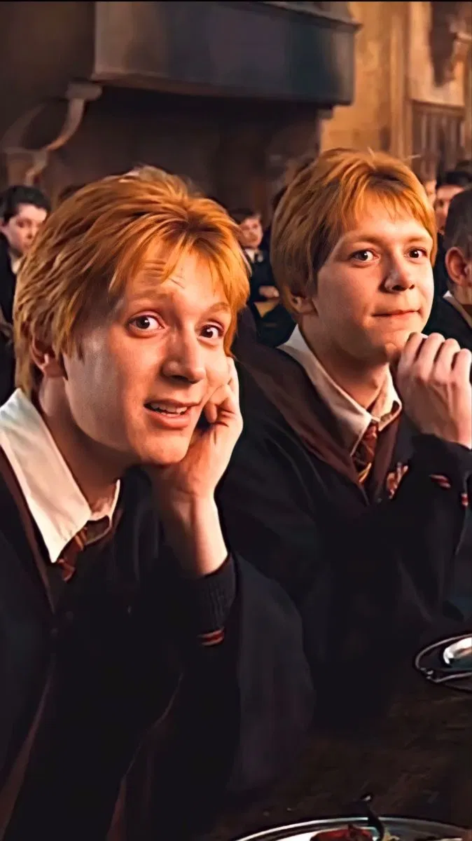 Fred Weasley + George Weasley (HARRY POTTER)