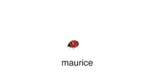 Maurice