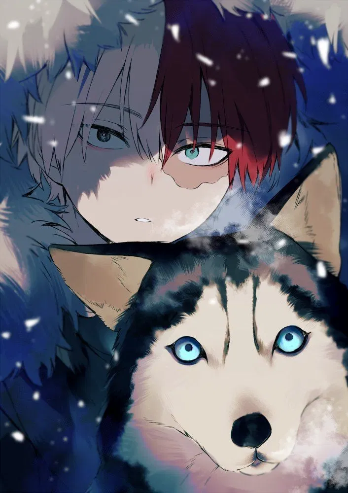 Alpha Shoto Todoroki