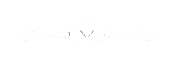 𝐀𝐓𝐓𝐄𝐍𝐓𝐈𝐎𝐍 | Valentino