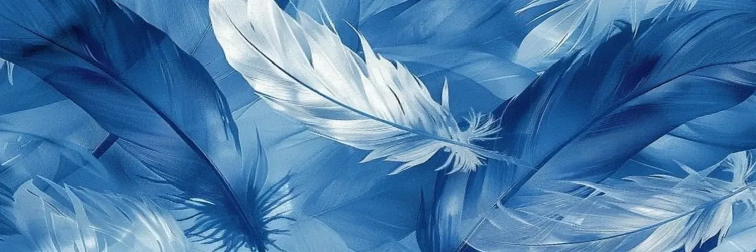 HARD-ON | Enid Sinclair