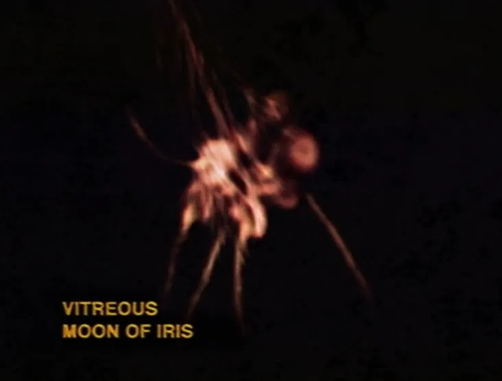 Gemini Home Entertainment (The Iris) (Analog Horror)