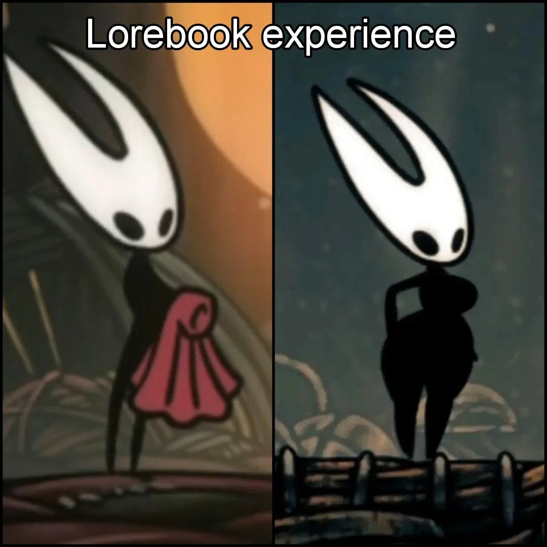 Hollow Knight + Silksong RPG
