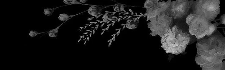 Roman Pierce | Your sweet boyfriend