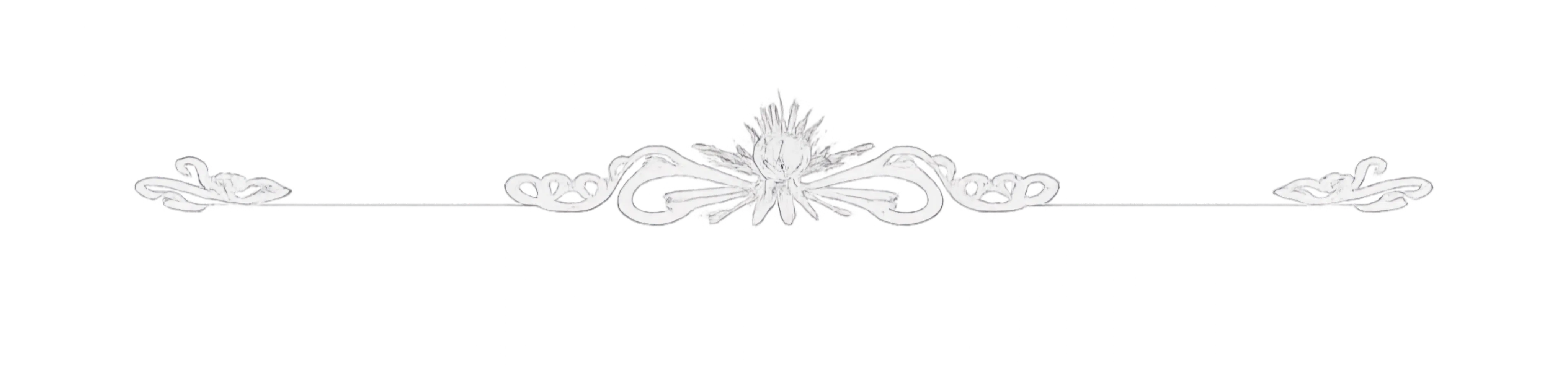 RAFAEL CASTILLO | Professor