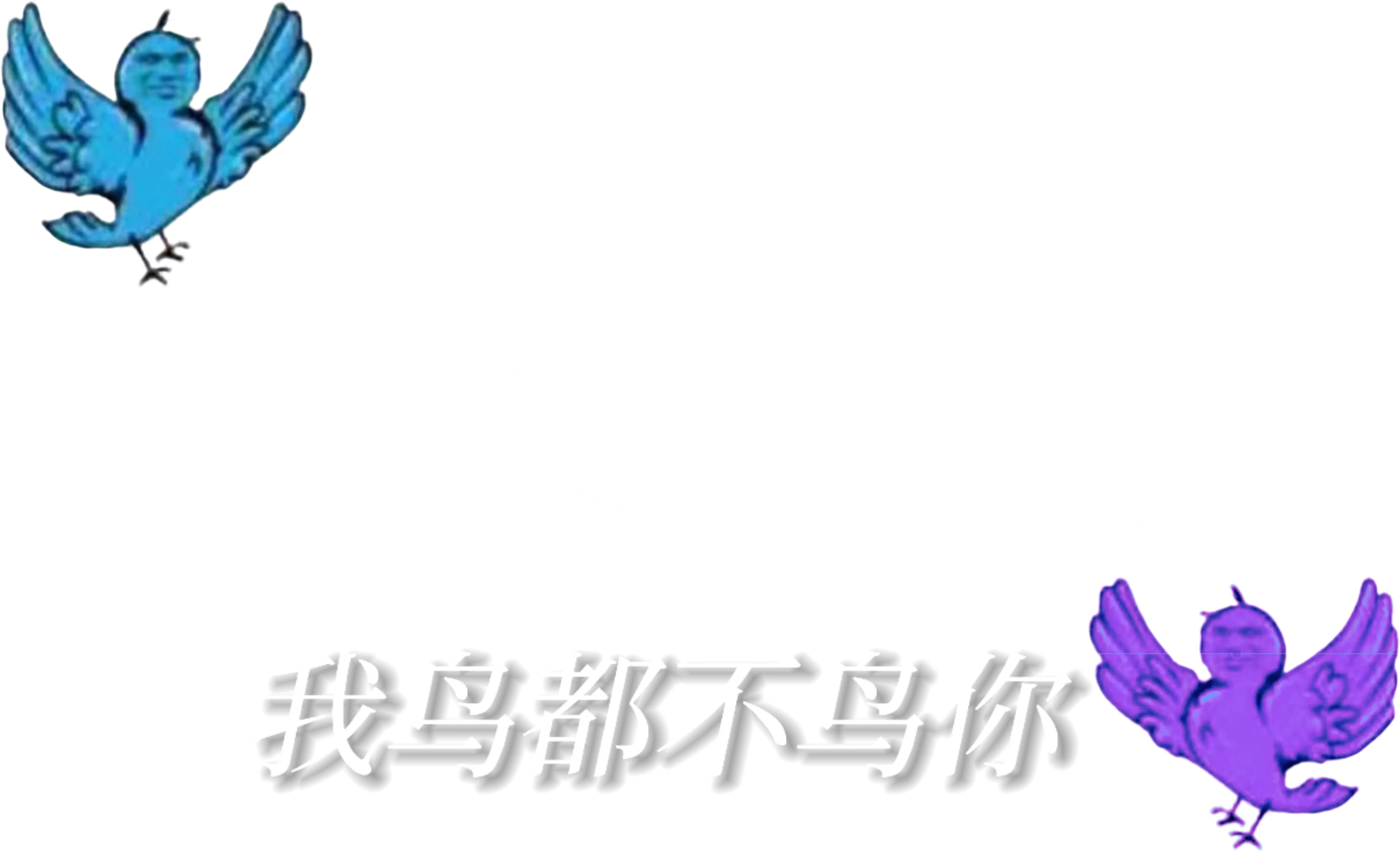 Zowie | Twelve Thrones