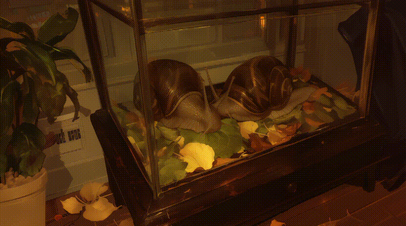 Oliver "Ollie" Johnson | Bullied Boy