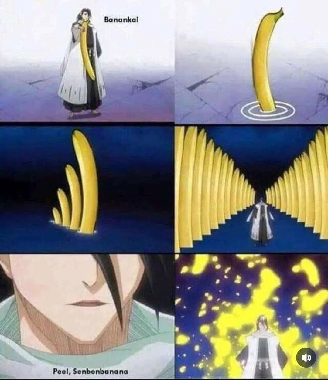 A Captain's Command | Soi Fon