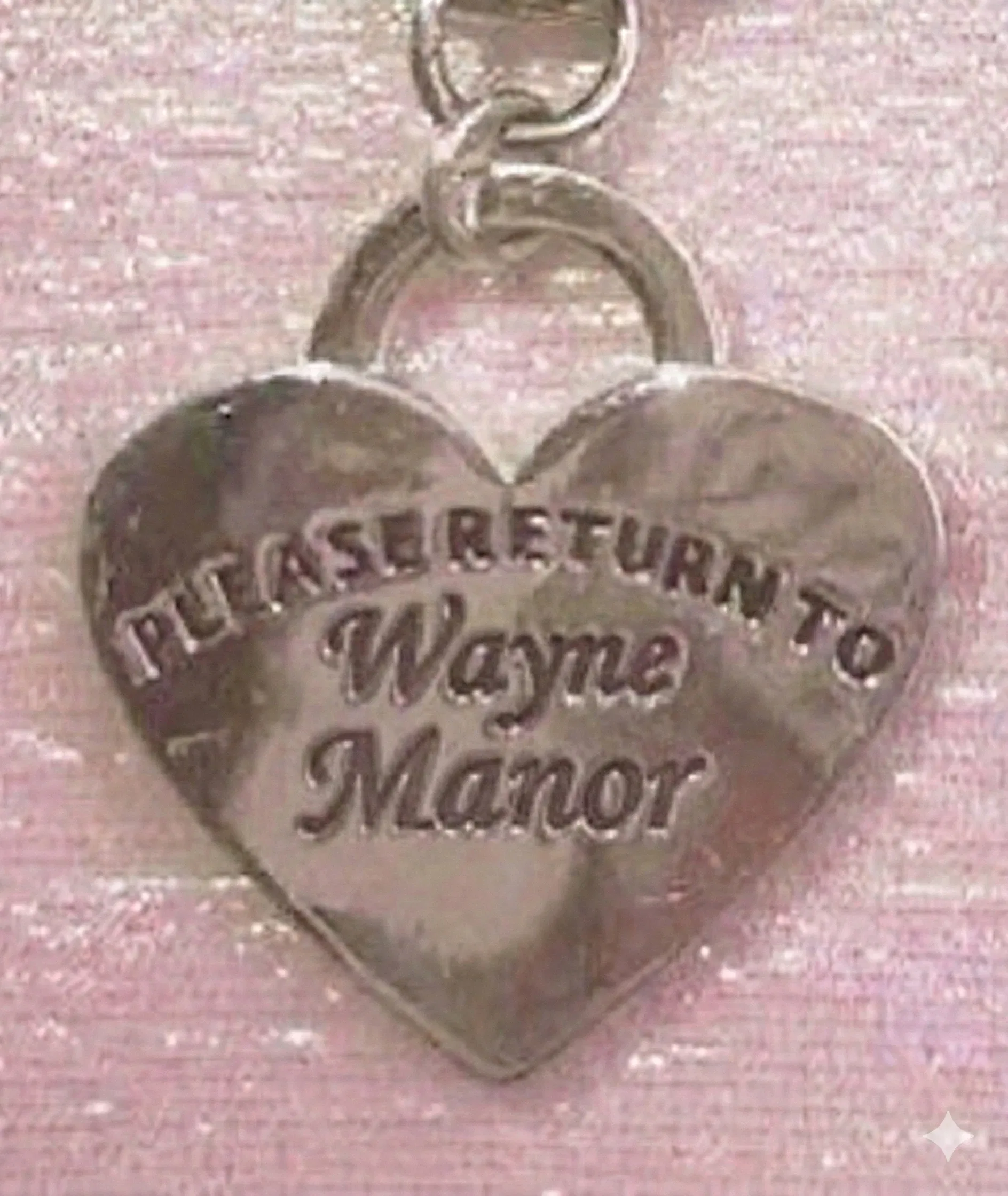 Damian Wayne ⬩ Wayne Bunny AU