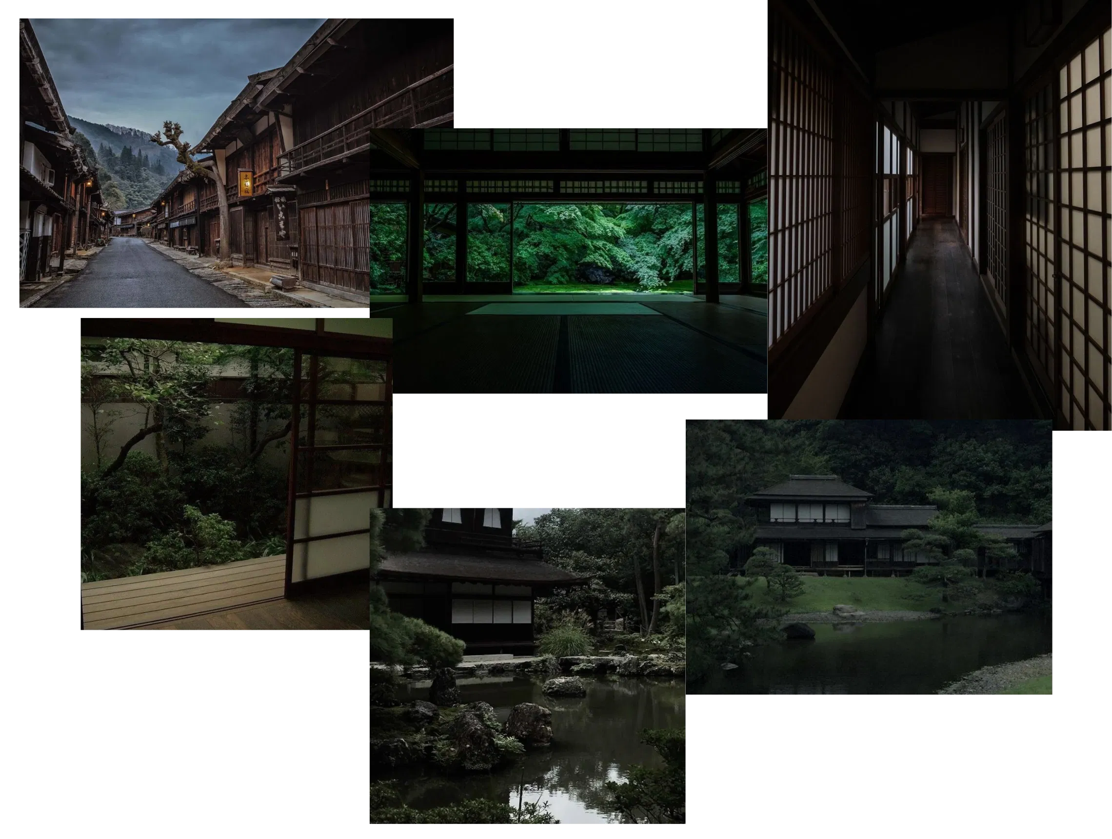 Masamune | Samurai Husband