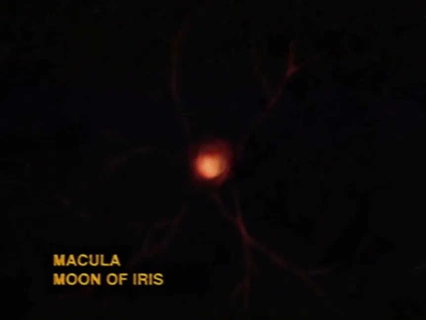 Gemini Home Entertainment (The Iris) (Analog Horror)