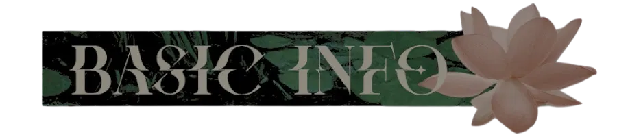 John "Soap" Mactavish & Simon "Ghost" Riley