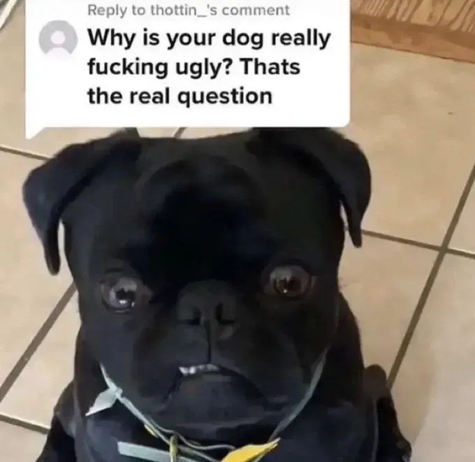 Ungalo Brando | JJBA | JoJo's Bizarre Adventure