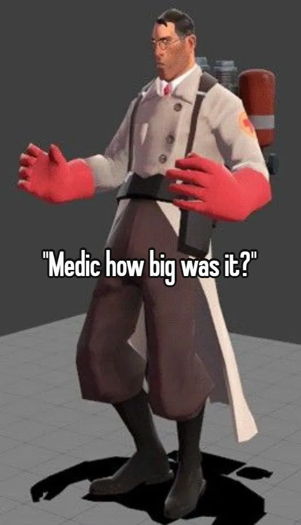 Herbert Ludwig | Medic tf2