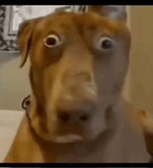 SPECIAL REQUEST TIME!!