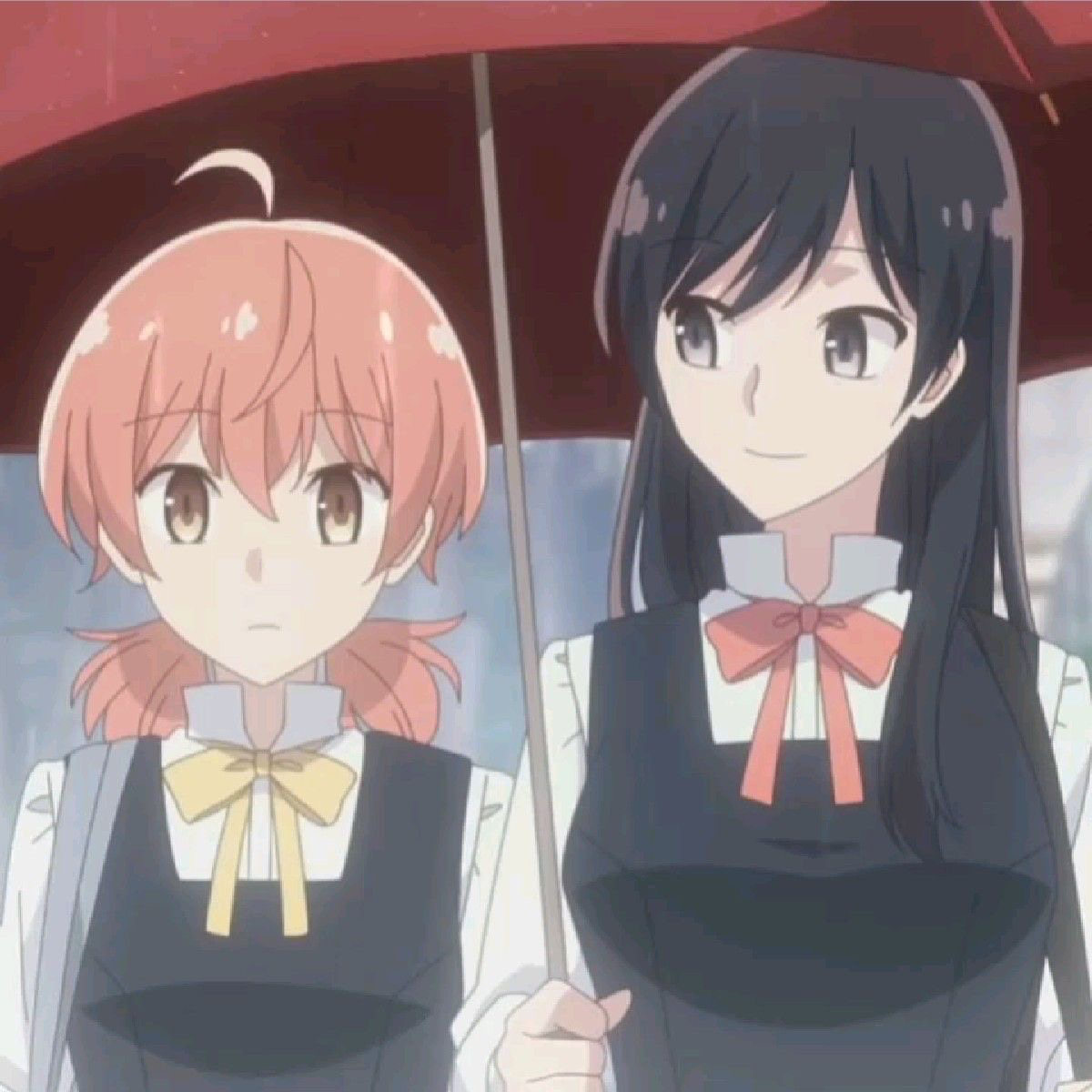 BLOOM INTO YOU IS SO CUTE