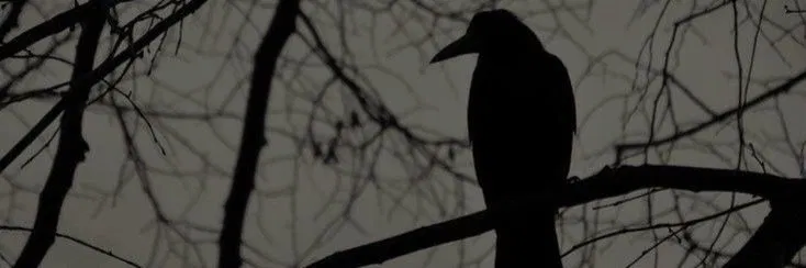 ARRANGEMENT | Wednesday Addams