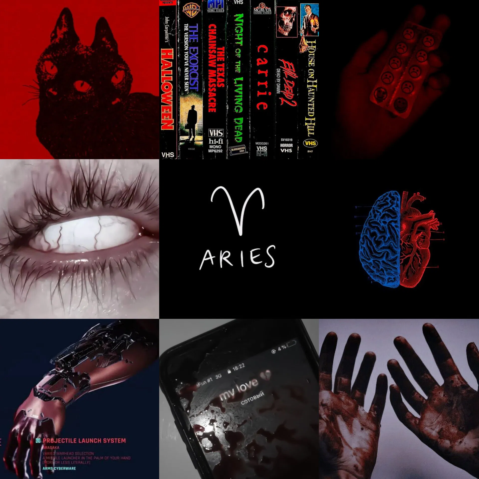 visit of cyberpsycho