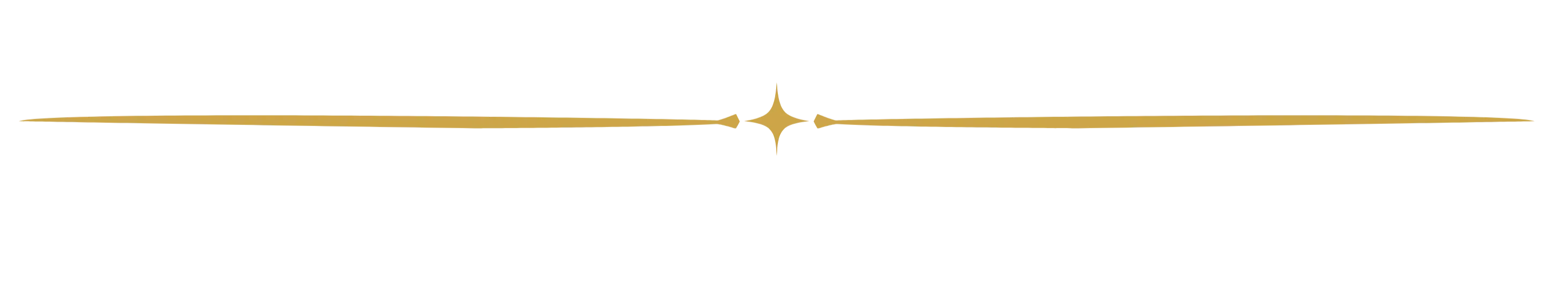 Shin Vega | Sex Shop Salesperson