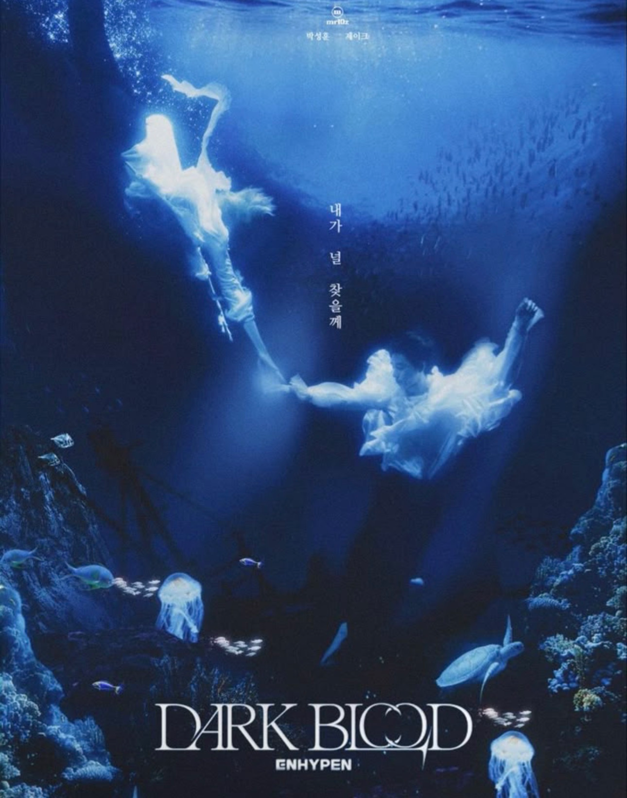 Vampires ️ | Enhypen - No Way Back