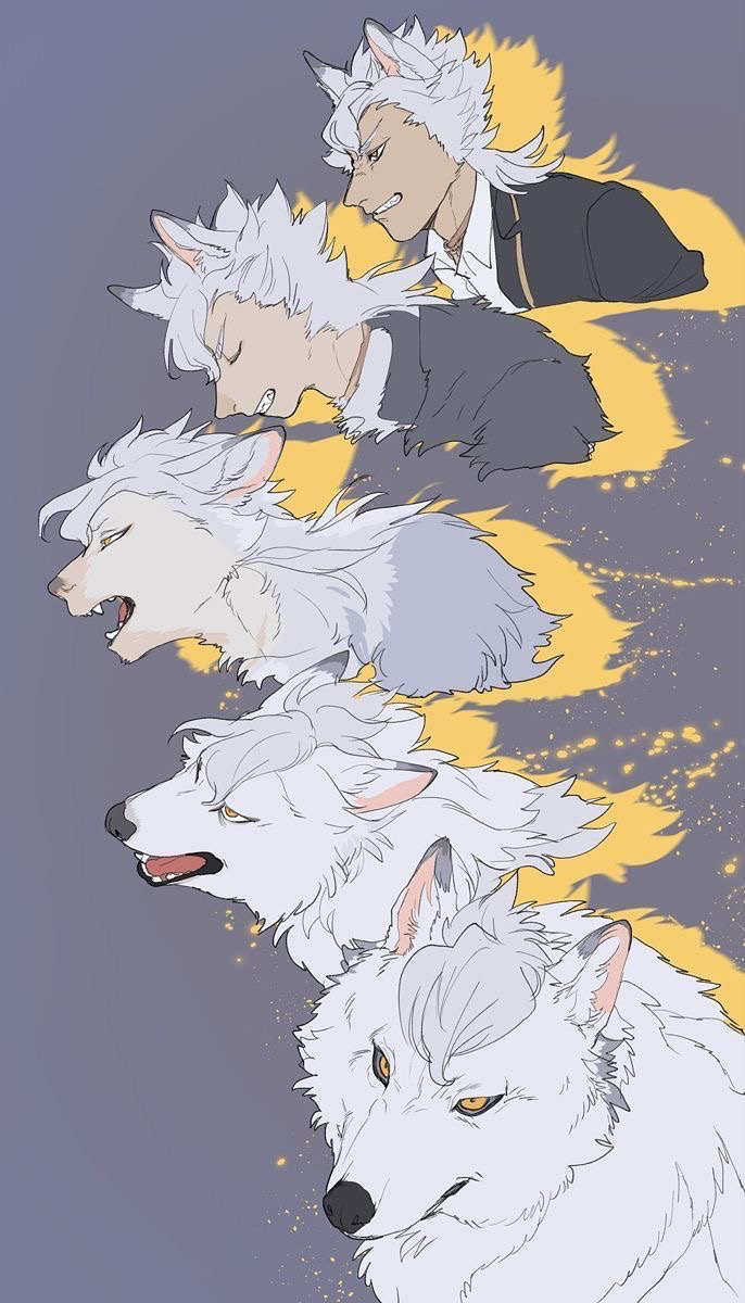 🐺 TWST|Jack Howl🐺