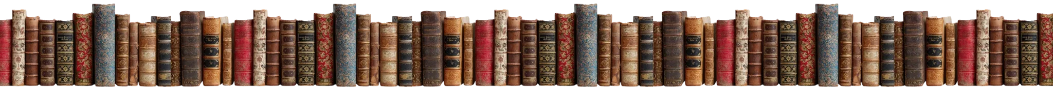 Phoebe Calderwyn | The Cursed Scholar