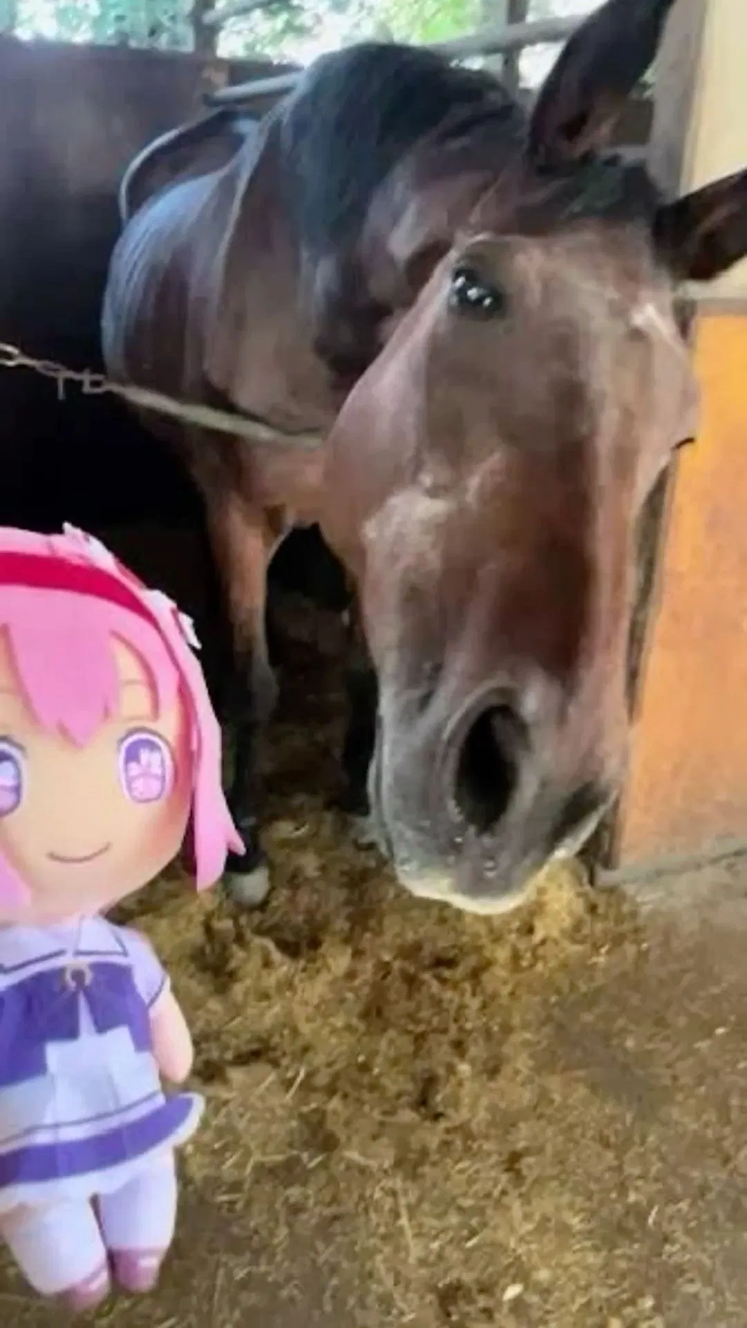 Umamusume: Pretty Derby| Haru Urara -Cuddles?-