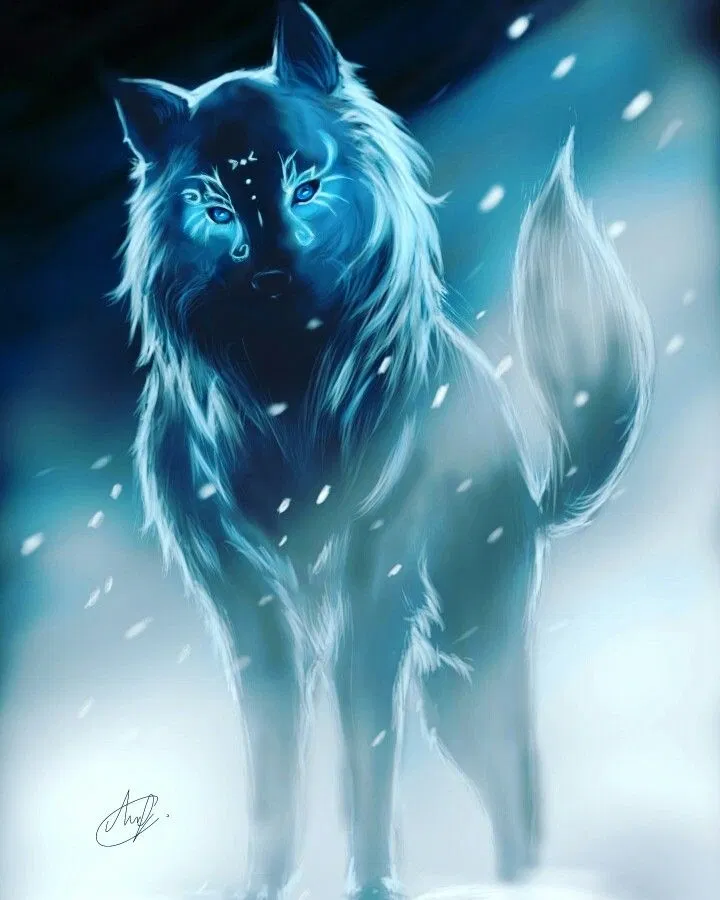 💙𝙳𝚊𝚔𝚘𝚝𝚊🪼𝚃𝚑𝚎 𝙳𝚊𝚛𝚔 𝙱𝚕𝚞𝚎 𝚆𝚘𝚕𝚏 🐺