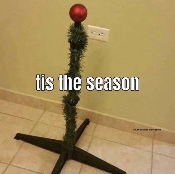 Gen Asagiri and Senku Ishigami [Christmas Special]