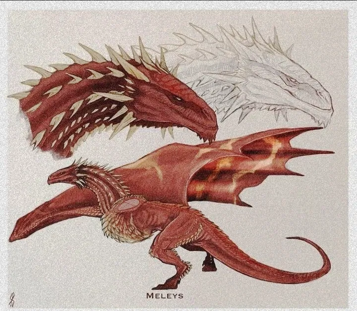 ₊𖥔 Injured Dragon! ۪ ׄ໑୧ ׅ𖦹 ׂ 𓈒 Rescue ⋆ ۪