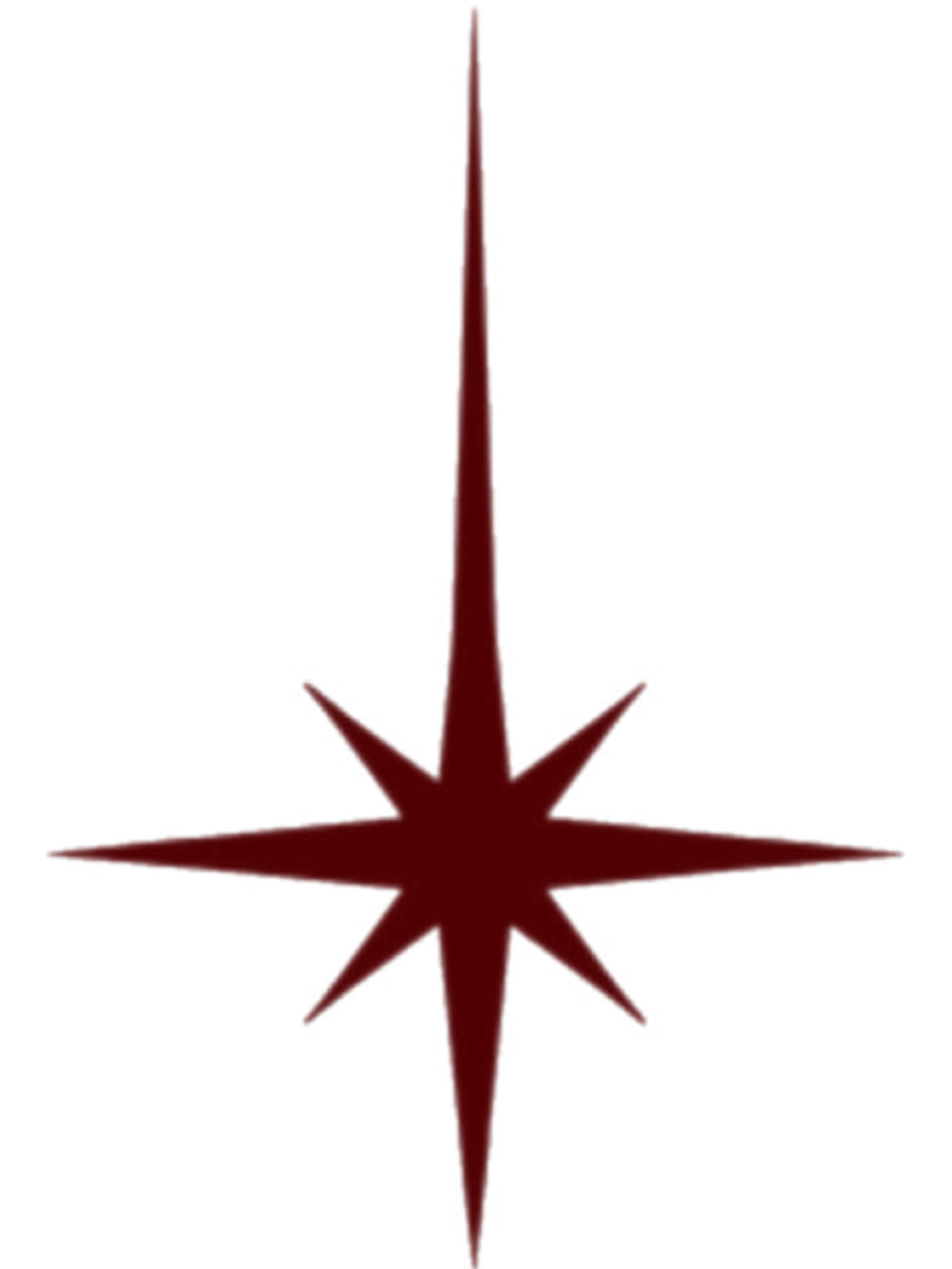 MERCEDES | THE WIDOWED COUNTESS