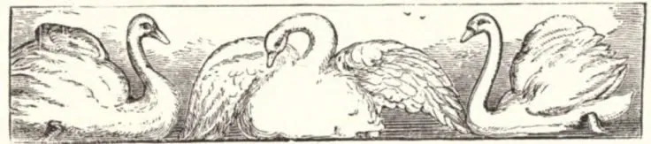 Tyler | Pretty Disaster